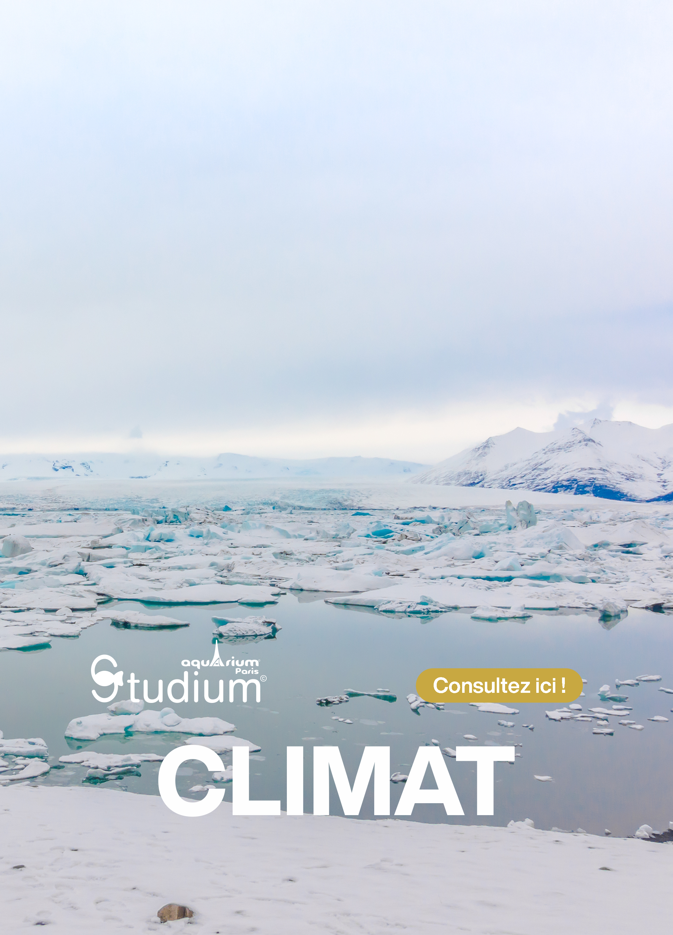 Studium Archives - Page 2 of 2 - L'Aquarium de Paris