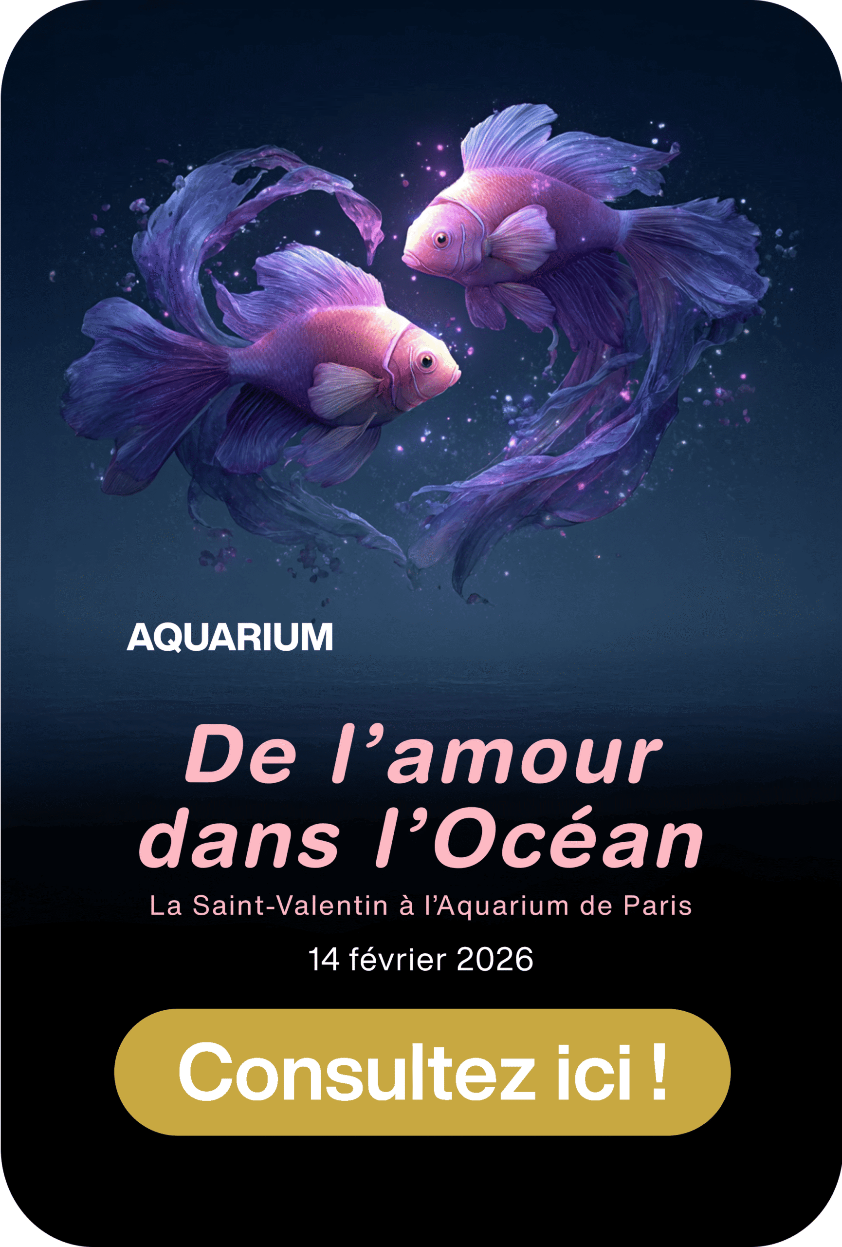 Saint-valentin - L'Aquarium de Paris